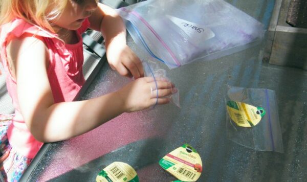 Gardening in a Small Backyard » The Stay-at-Home-Mom Survival Guide