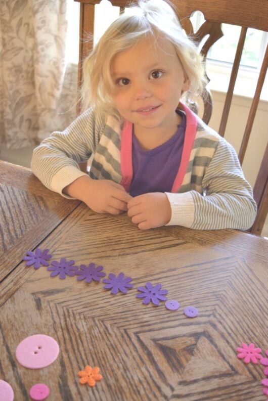 Sorting and Classification Activity for Young Children » The Stay-at ...