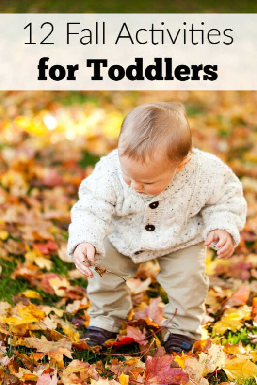 12 Fall Activities for Toddlers » The Stay-at-Home-Mom Survival Guide