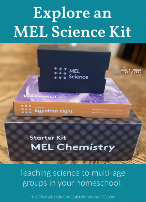 MEL Science: Chemistry Explorations with Mixed Age Groups » The Stay-at ...